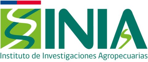 INIA realizó taller y día de campo sobre praderas y balance de ...