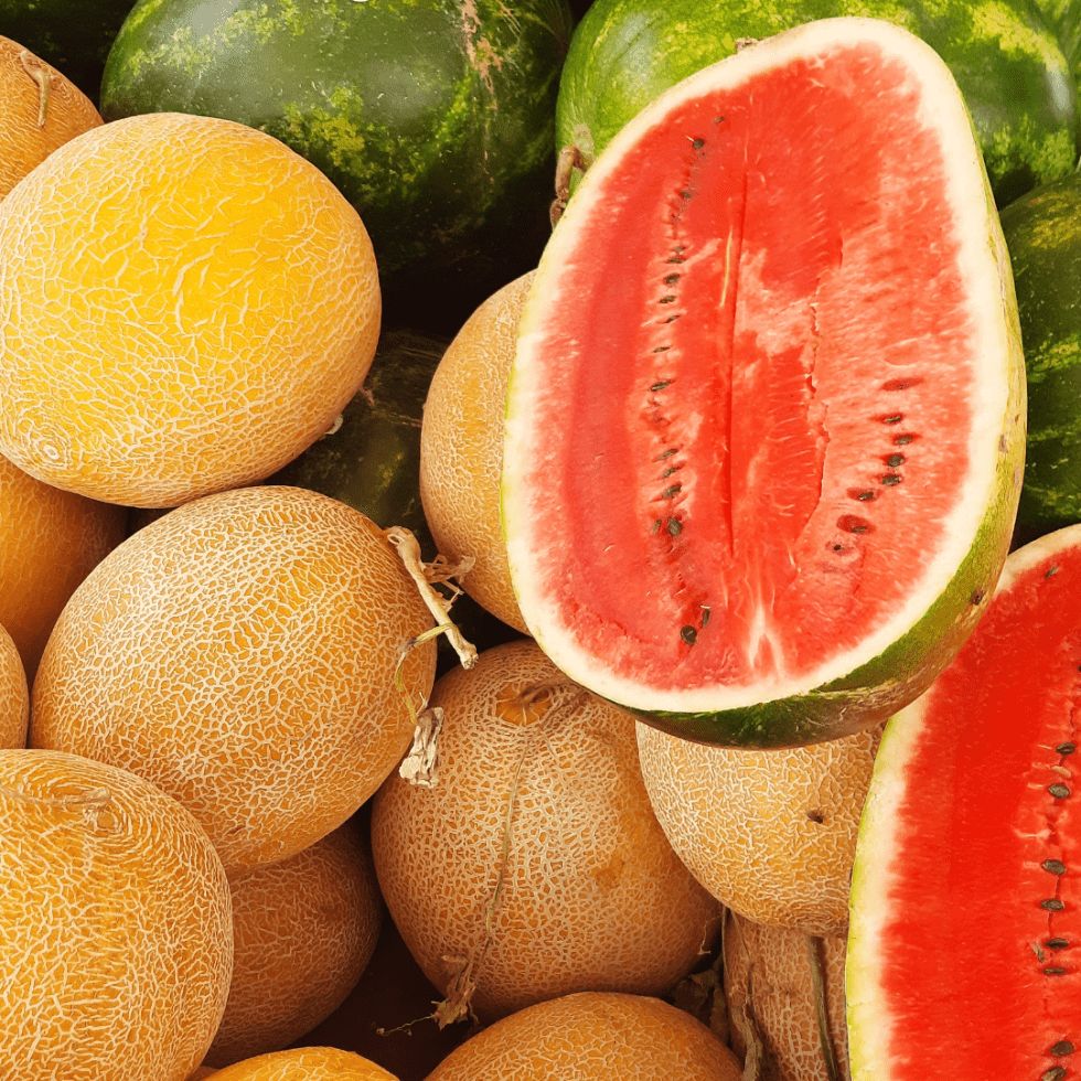 melones | INIA