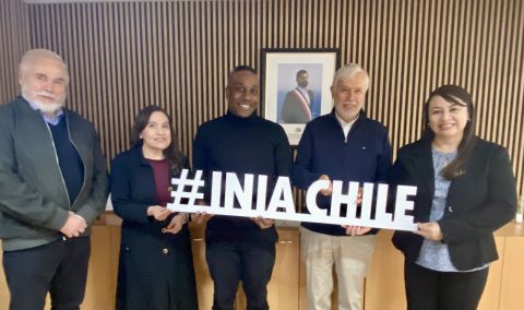 INIA, Croda Foundation y CABI se unen para reducir el uso de pesticidas químicos en la ...