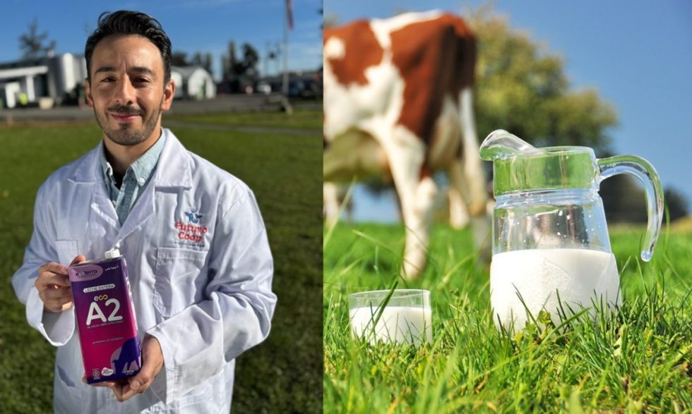 ¿Qué es la leche A2 y por qué es diferente? | INIA