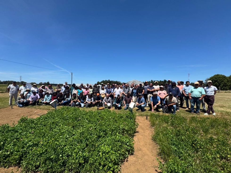 INIA realizó taller y día de campo sobre praderas y balance de ...